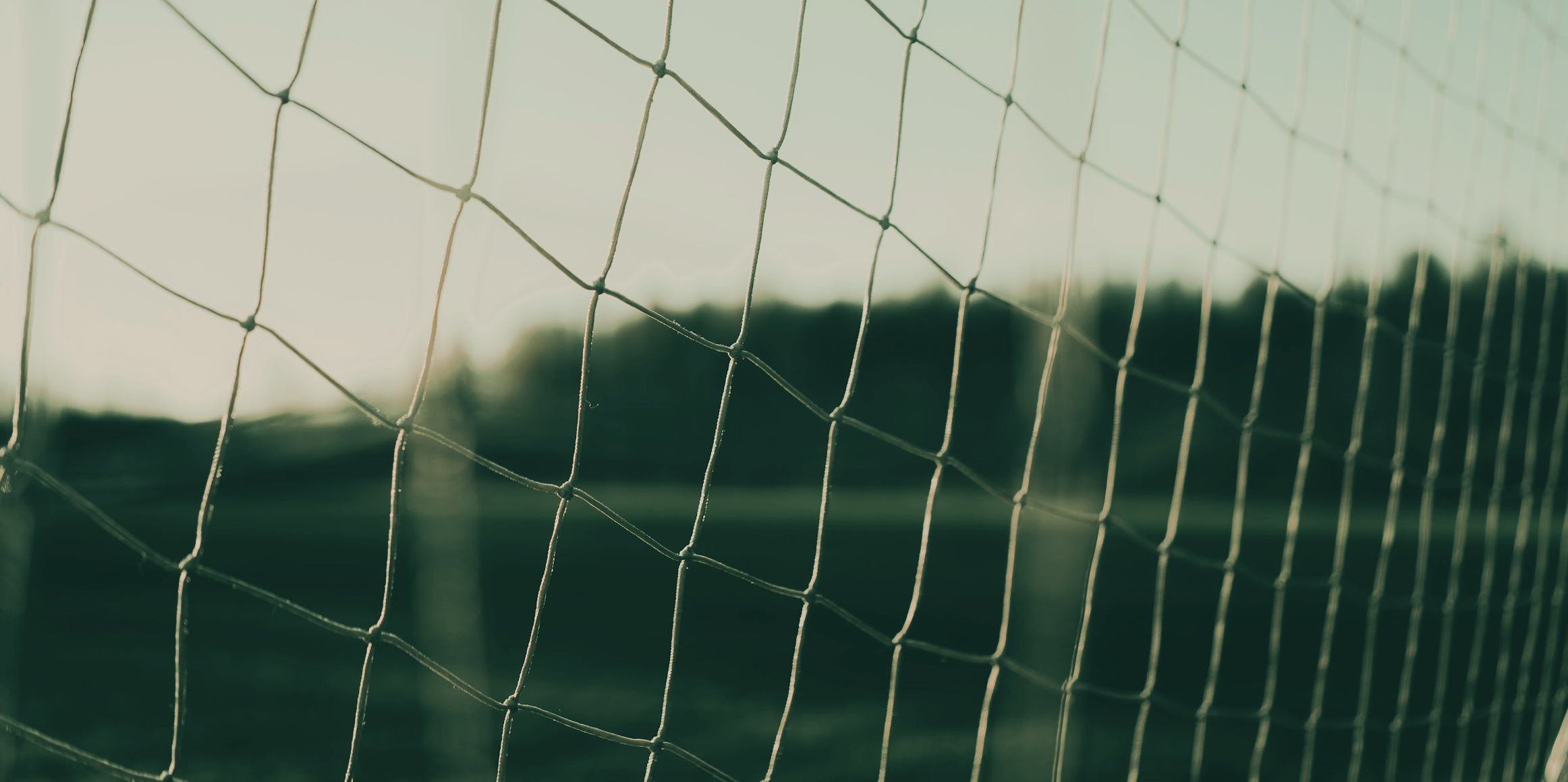 Berlin Sports Consulting